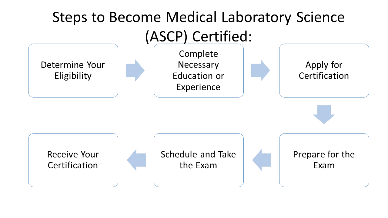 Free ASCP Practice Test 2026 - 210 Medical Laboratory Test Qs